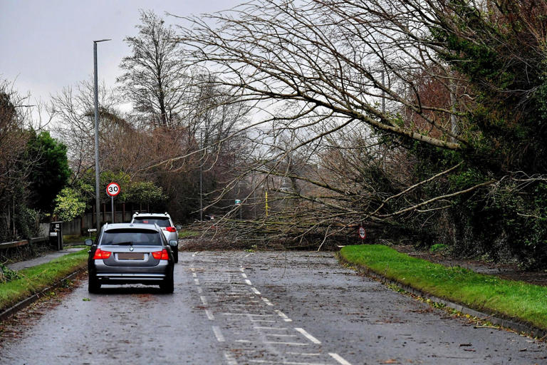Record-breaking 2025 for wind and sunshine in Derry and Donegal as ...