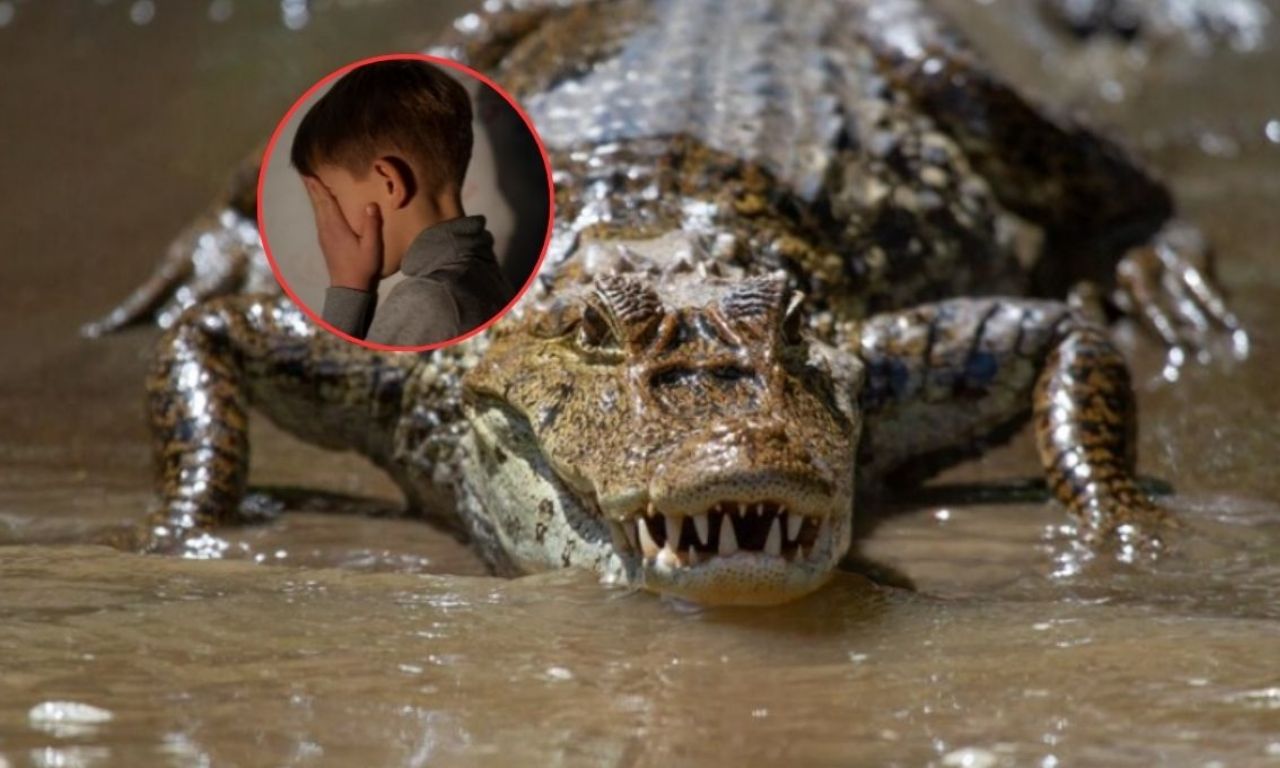 Cocodrilo devora a niño frente a sus amigos: "Había muchas heridas"