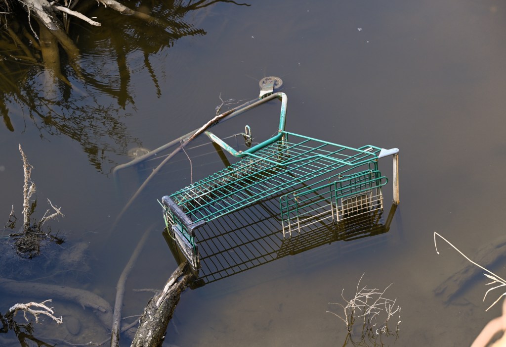 The shopping trolley theory tells me everything I need to know about you