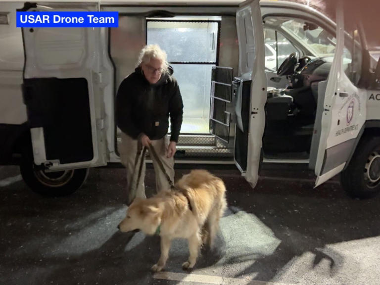 Dog on 20 mile journey along NJ Turnpike is rescued by thermal drone crew