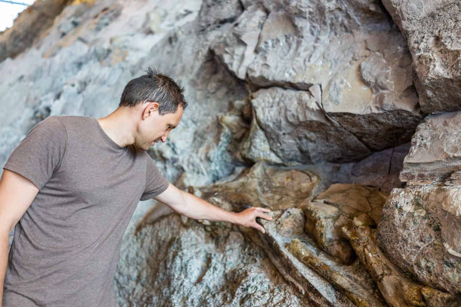 Top spots to see dinosaur fossils in the US