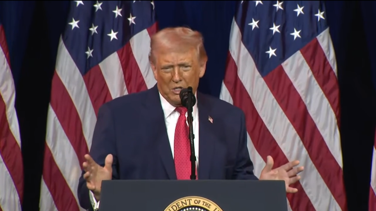 'It's all common sense': Trump claims any criticism against him has 'no ...