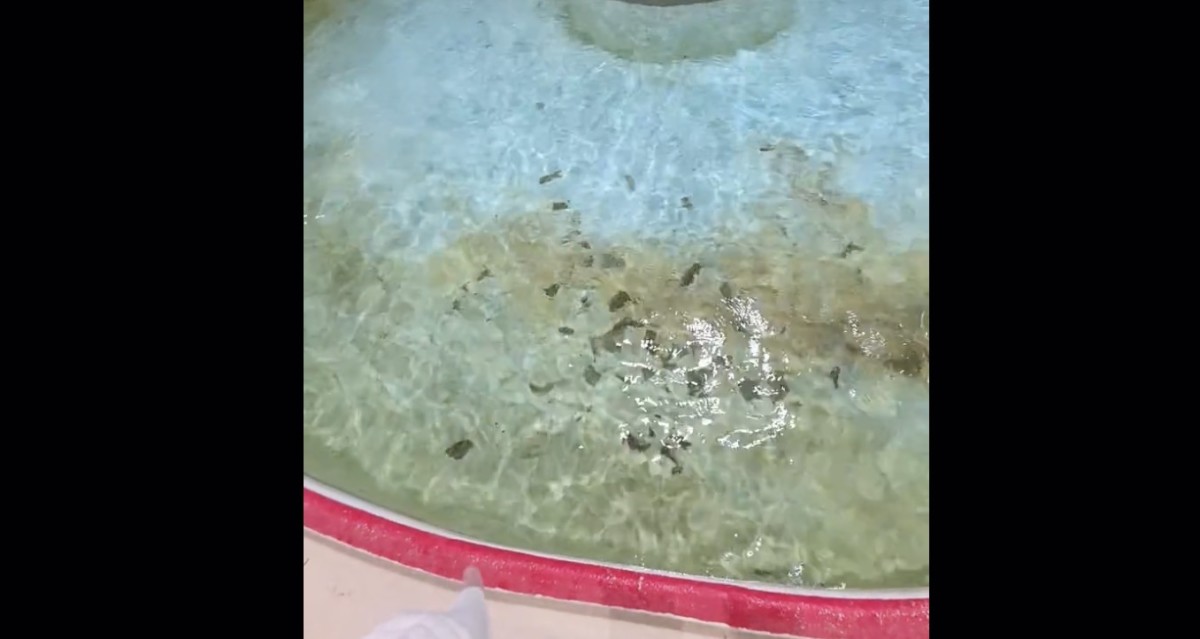 Minnesota resort responds after viral TikTok video showed discolored ...