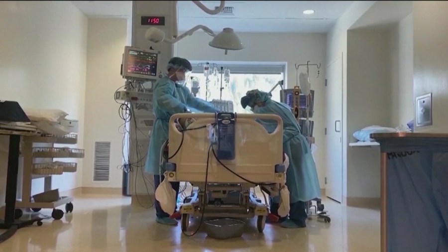 Deadly fungus reaches Connecticut: Who’s at risk?