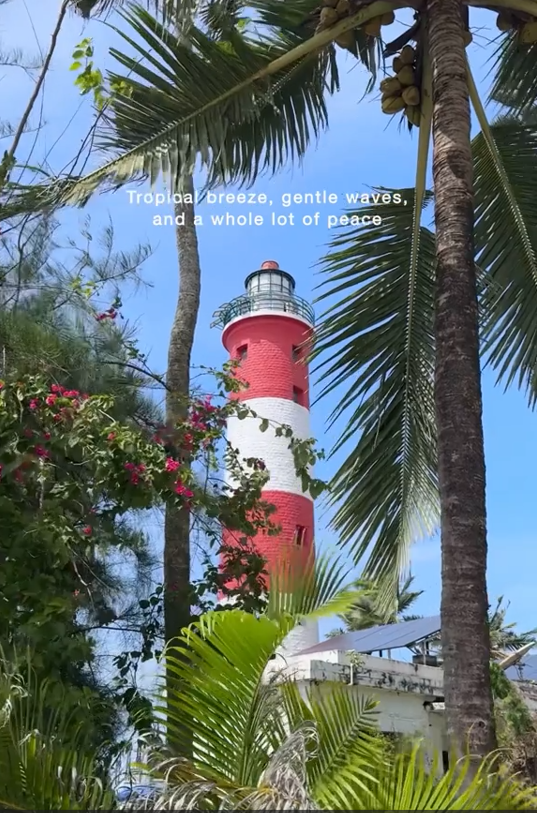 Flying to Trivandrum: Comfort in the air and discovery on the ground