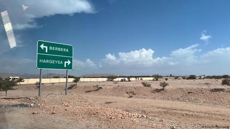 Saudi Arabia, the UAE and a new 'cold war' in the Middle East