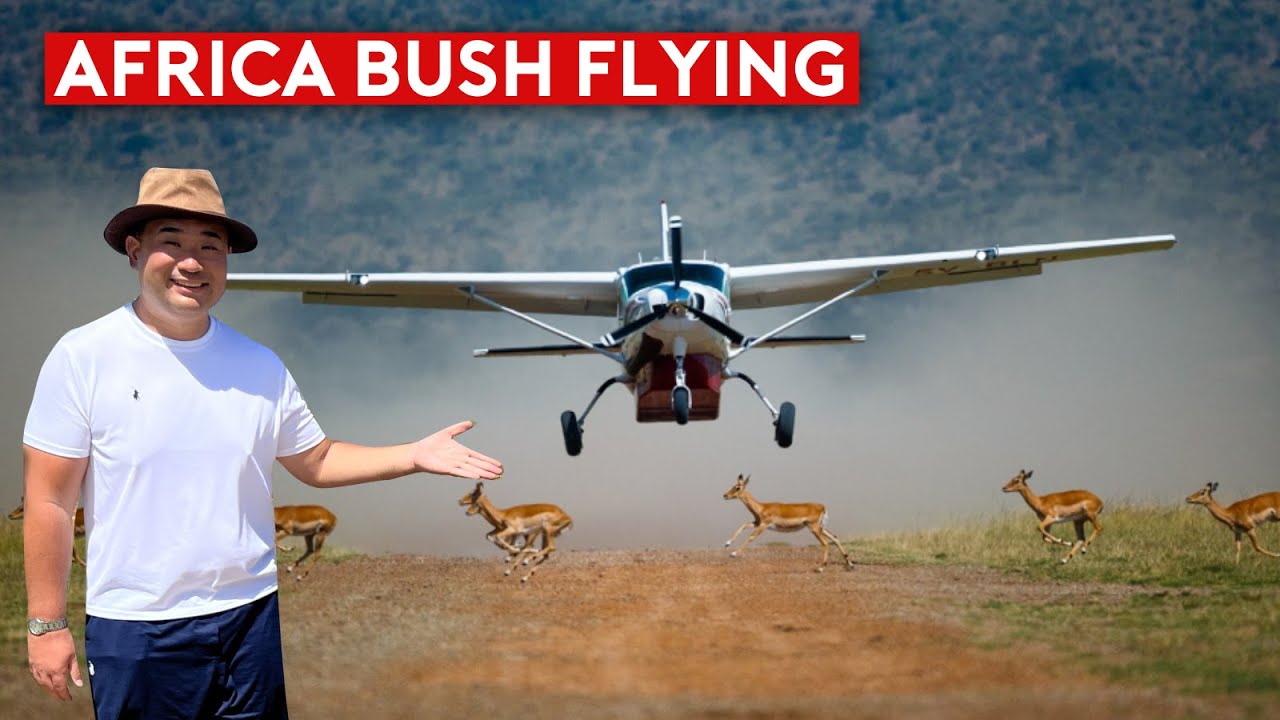 Fly Above The Masai Mara Wildlife