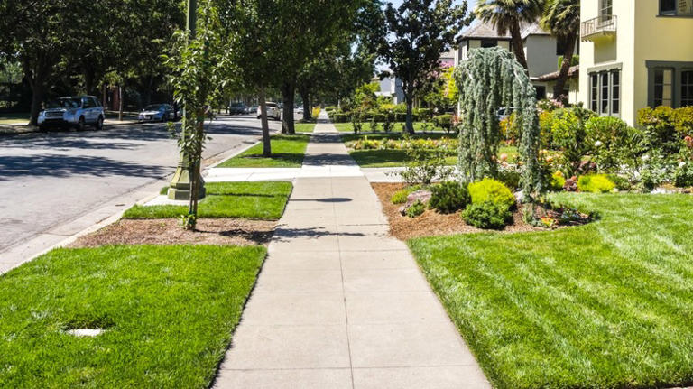 How much control do you actually have over your sidewalk?