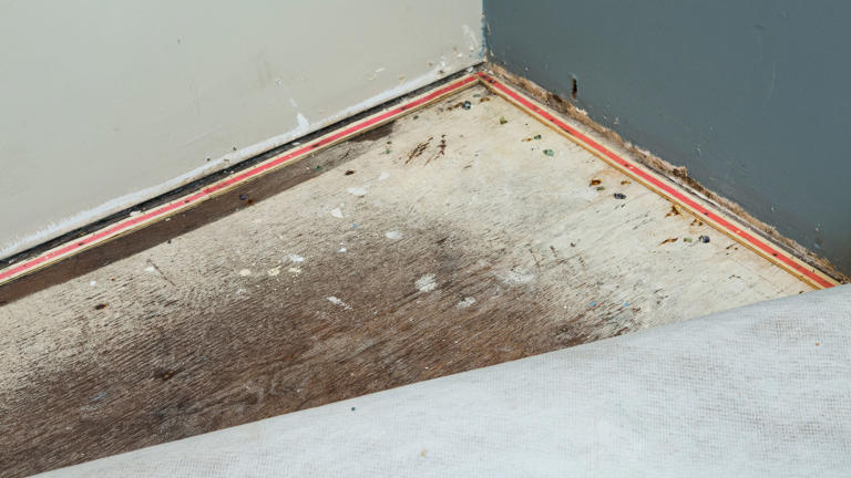 Mouldy carpet? Here's how to clean it