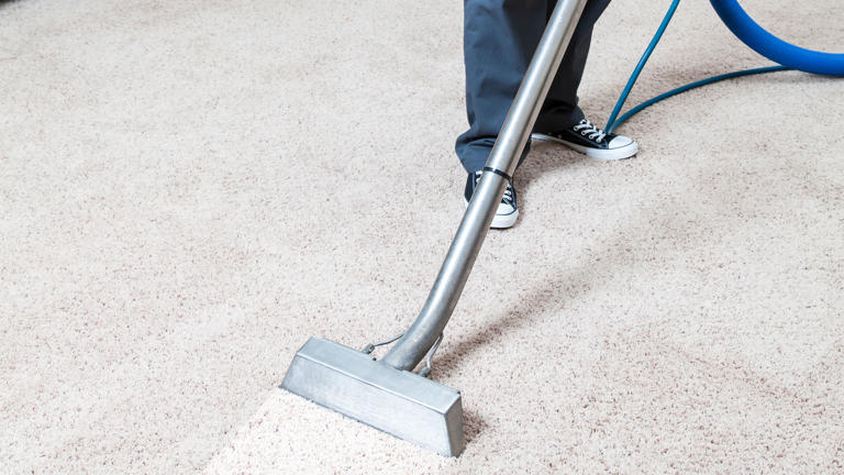 Mouldy carpet? Here's how to clean it