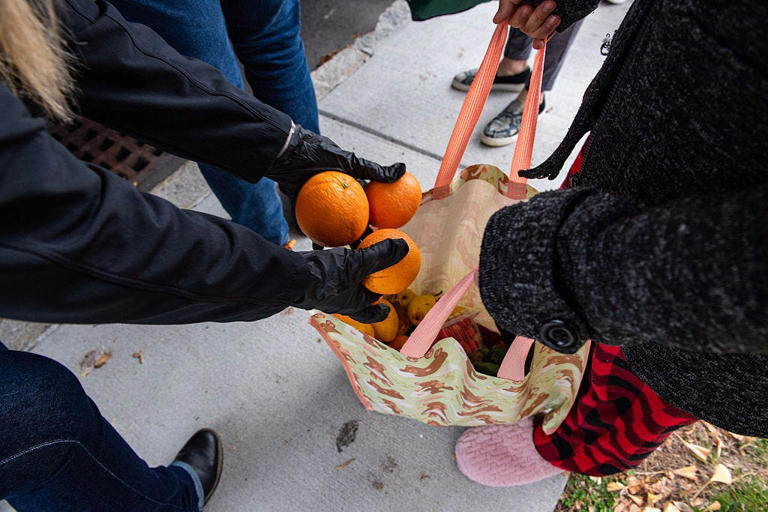 New SNAP requirements kicked in Feb. 1. What Illinois recipients should ...