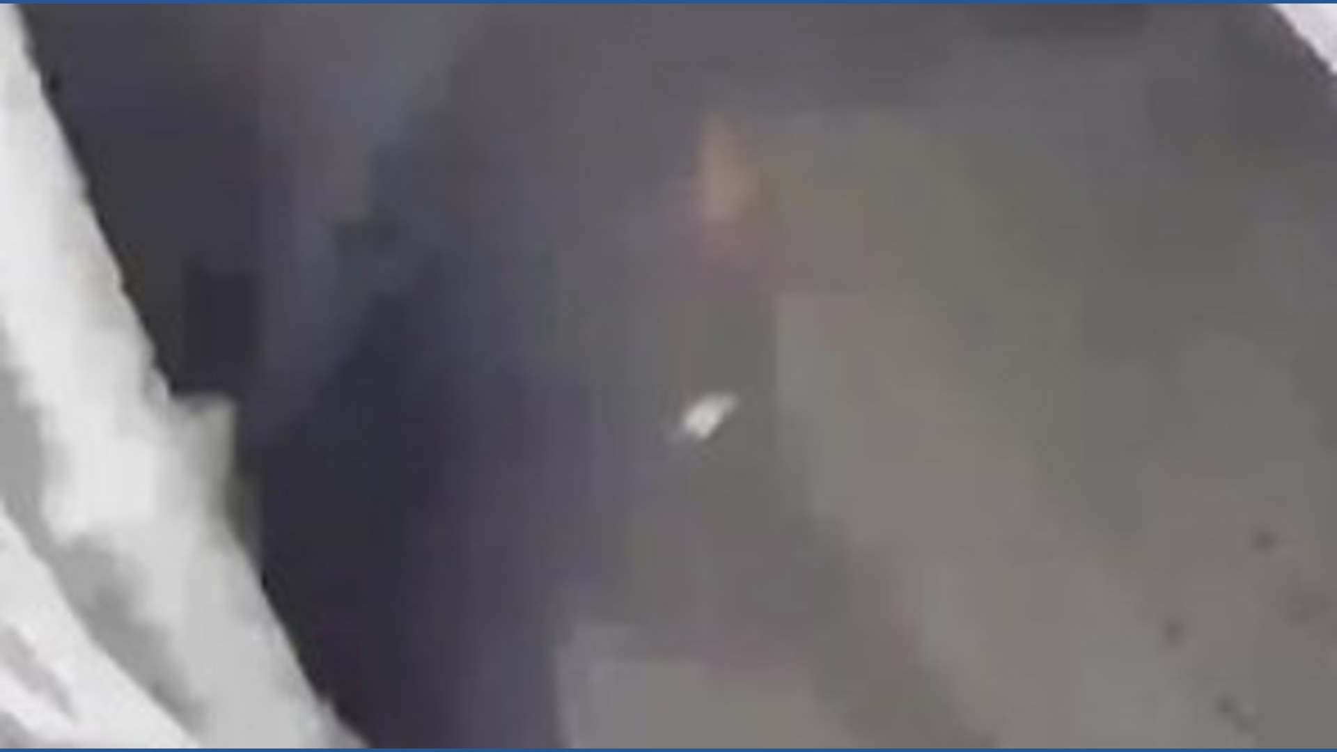 Auburn home invasion suspects plead guilty