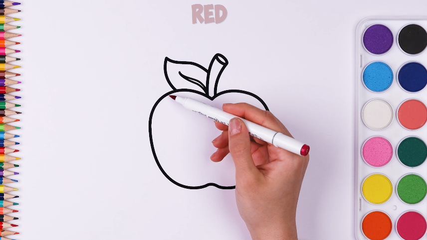 Coloring in an Apple and leaning Color Names