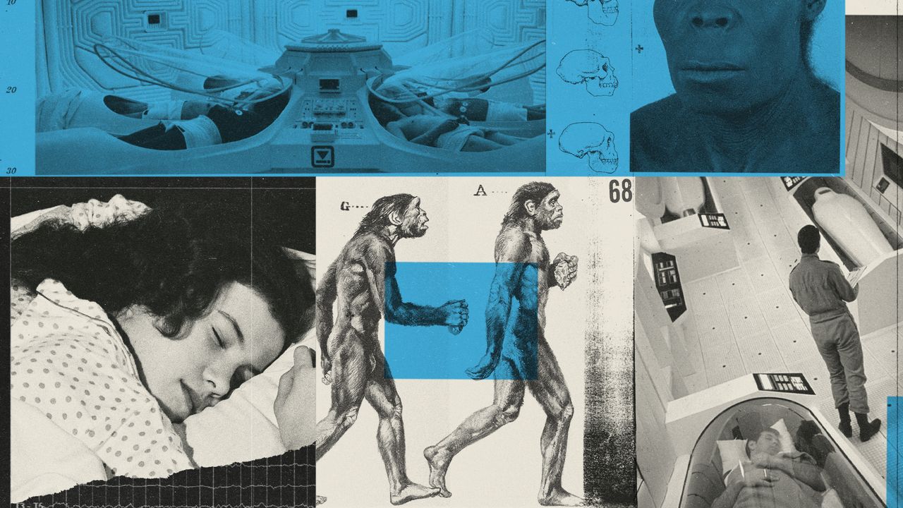 Why don’t humans hibernate?