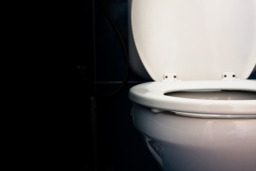 Why you need to put the toilet seat down in Hays