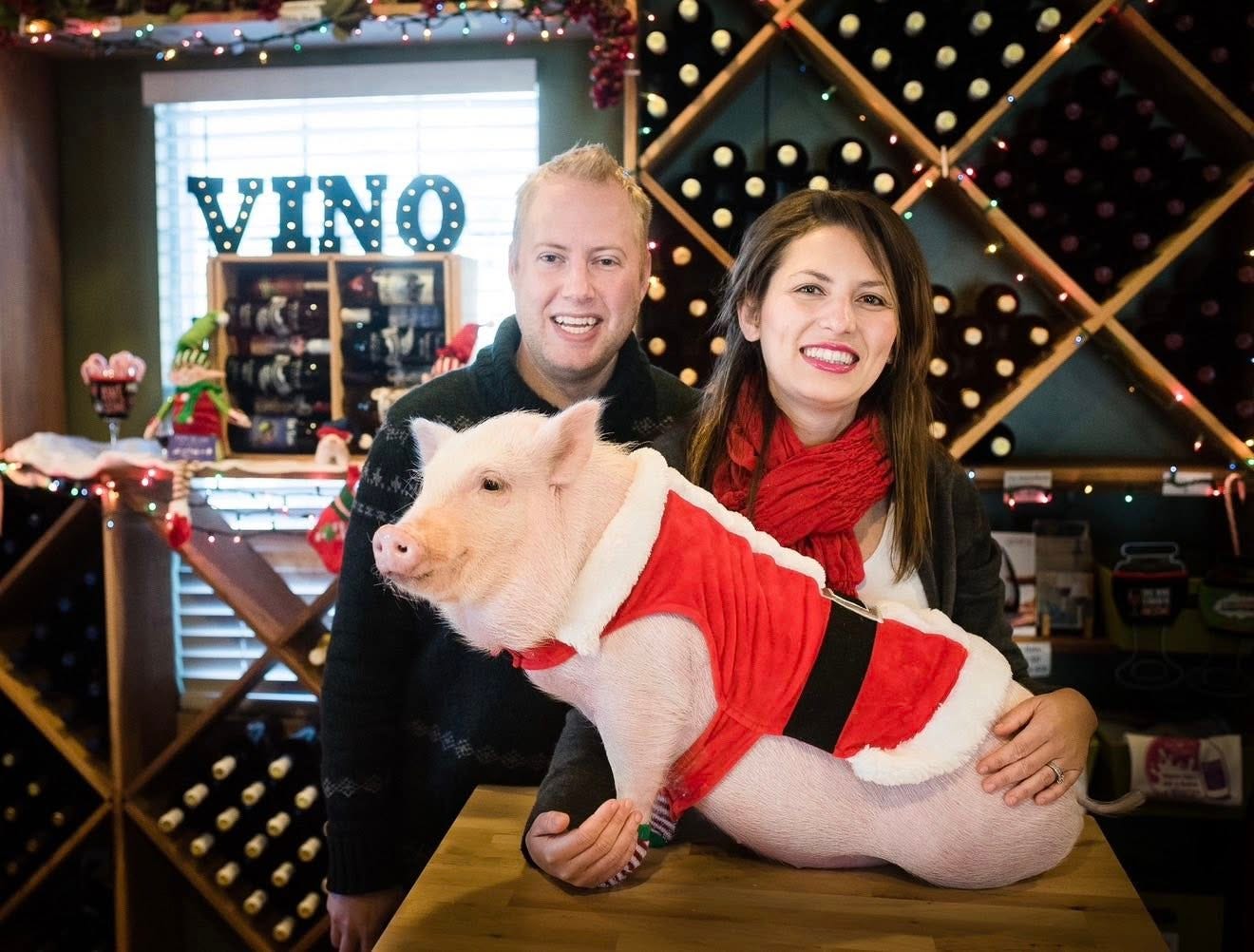 City Scape Winery's Pinot the pig mascot dies. See photos, memories