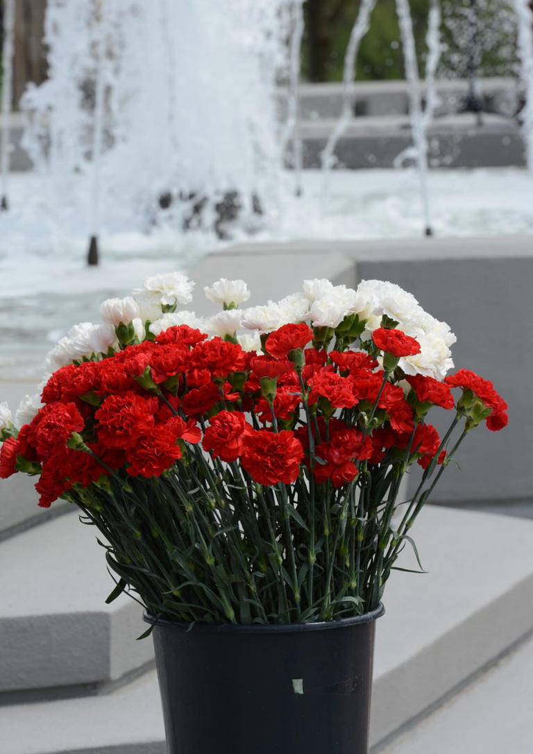 Did you know your birth month flower has a hidden meaning?