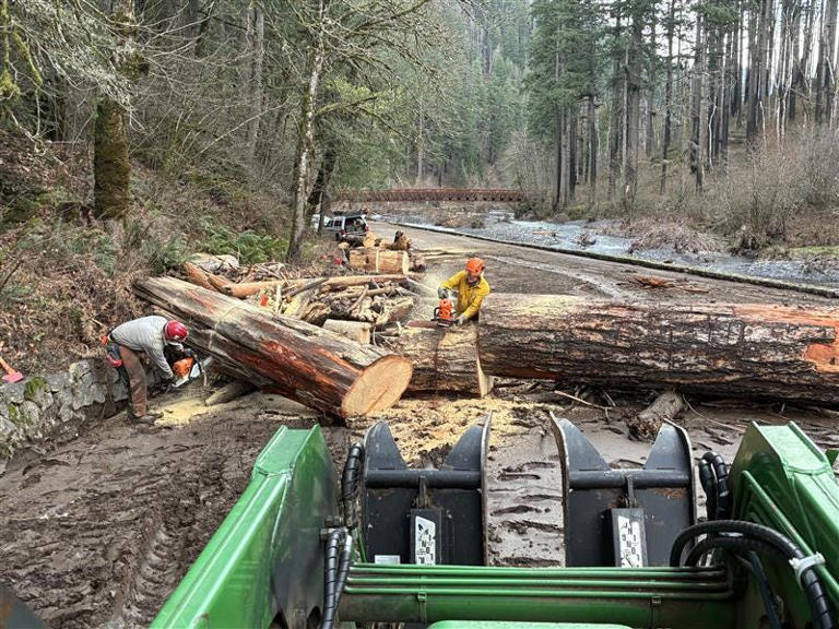 Popular Eagle Creek, Wahclella Falls trails closed for months