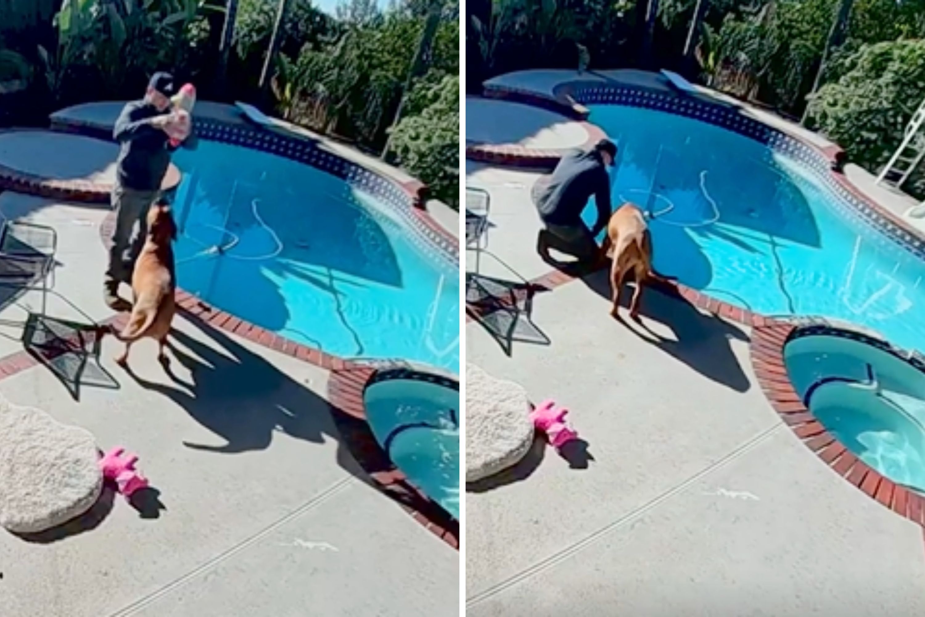 Security cam captures pool worker arriving, then 'scary guard dog' appears