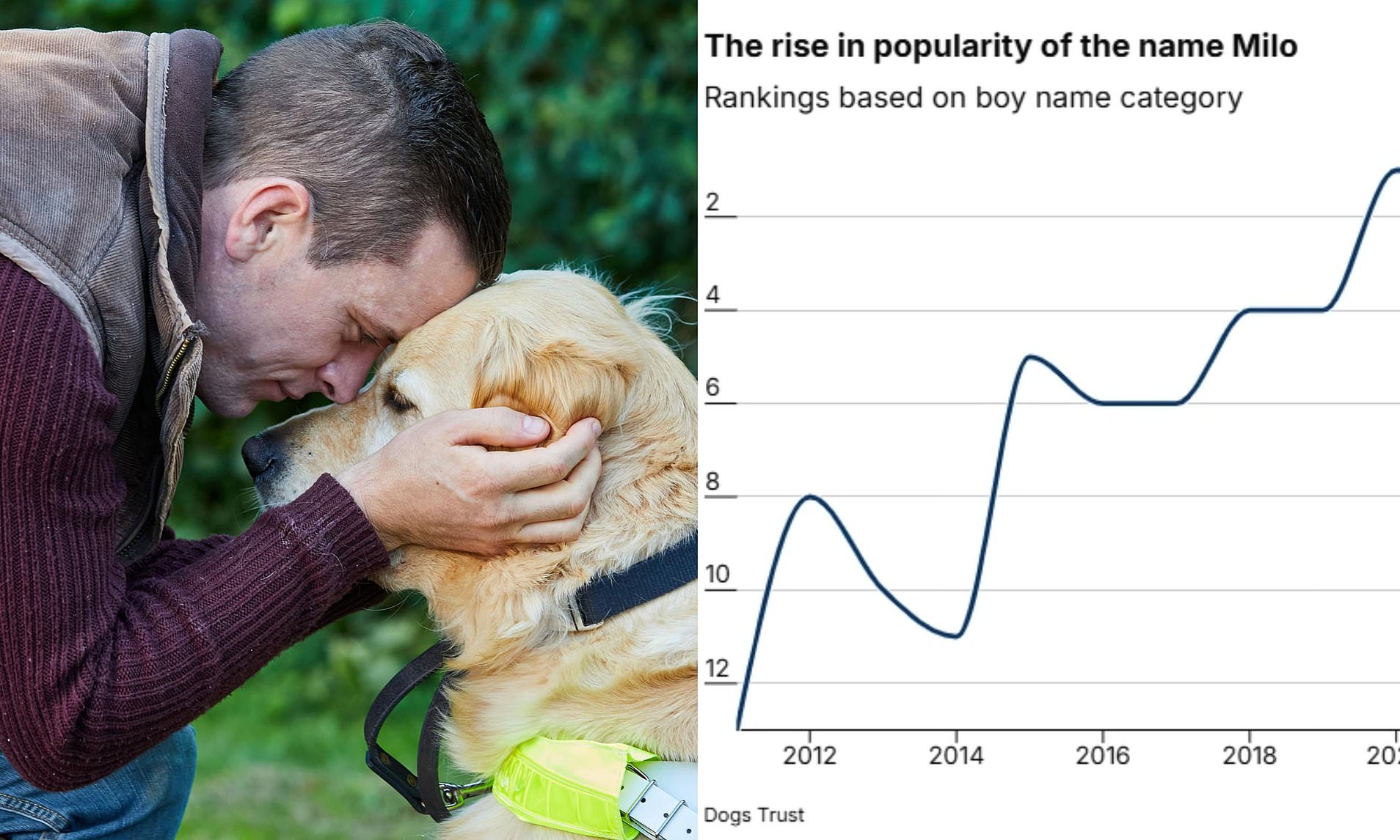 Revealed: Britain's favourite dog names... does your pooch make the list?