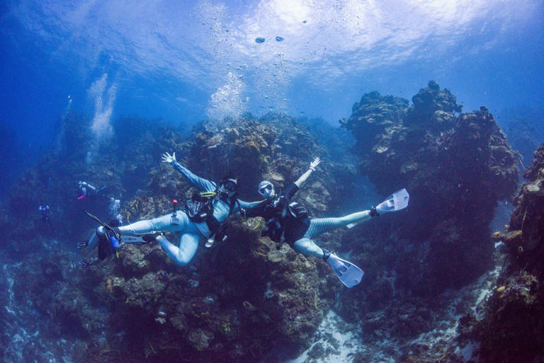 Beneath the surface: Courage, community, and the ocean