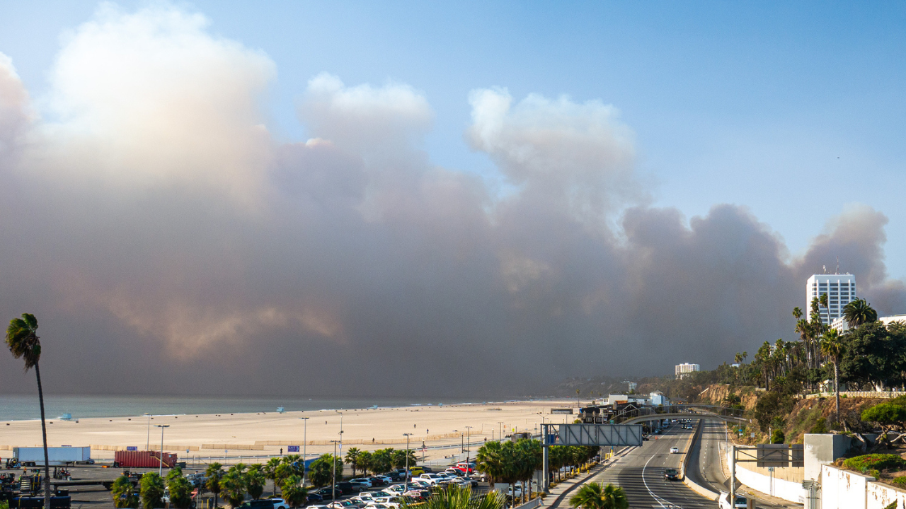 South Africa wildfires: Mossel Bay and Hartenbos fires trigger ...