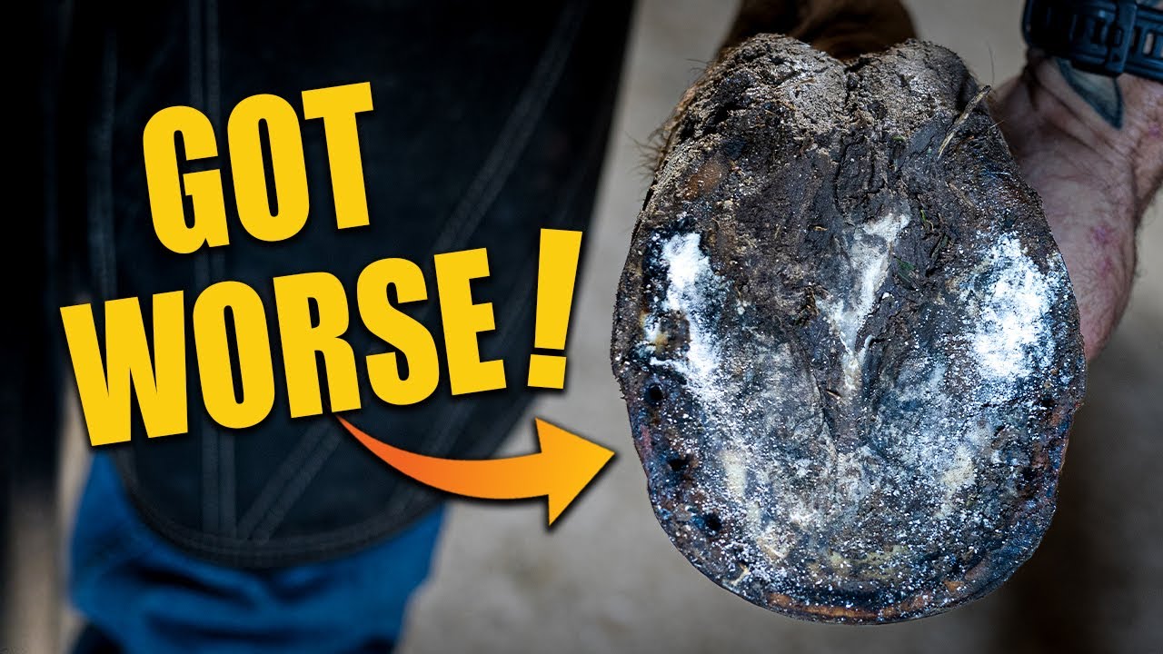 Thought it was bad, but it got worse