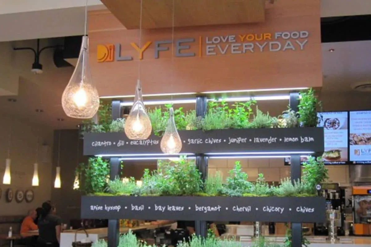 LYFE Kitchen menu prices with calories [updated 2026]