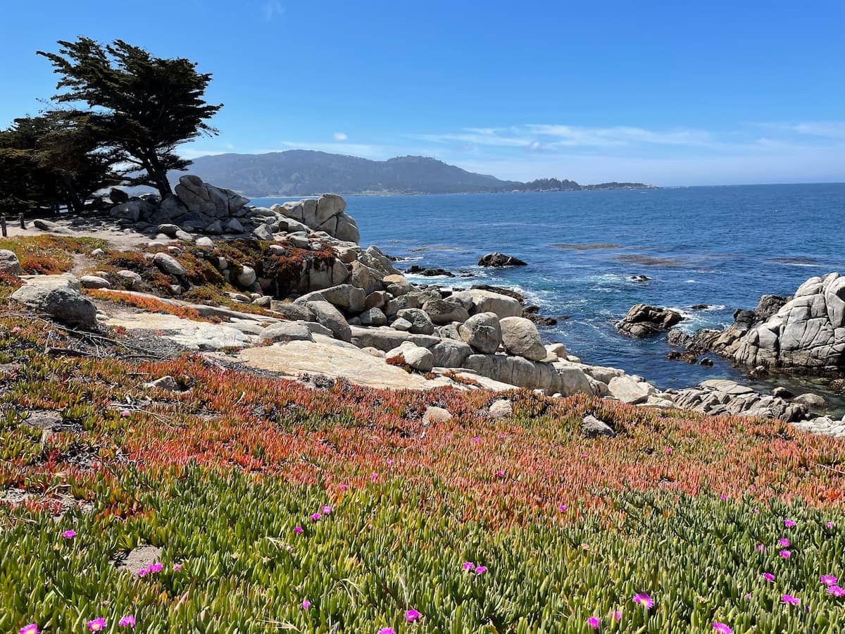 Pebble Beach’s 17-mile coastal drive delivers jaw-dropping Pacific views