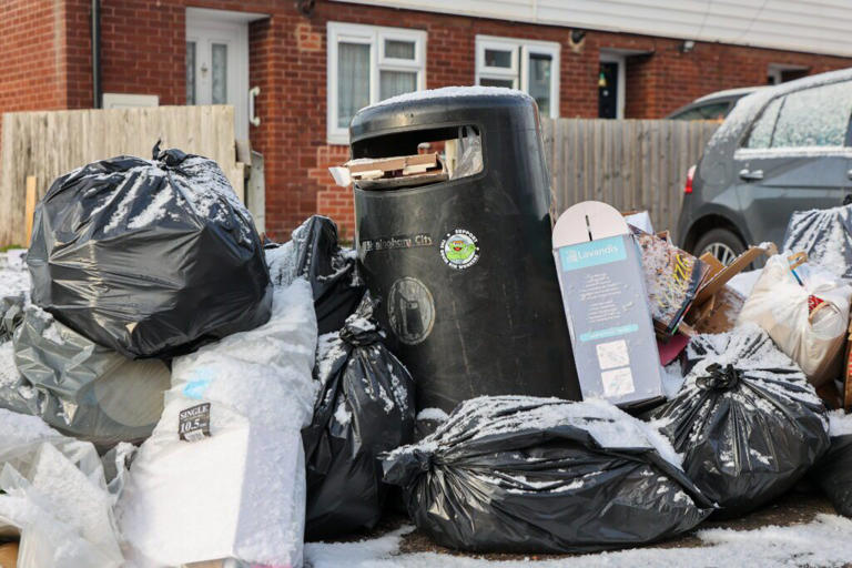Rubbish continues to swamp Birmingham on first anniversary of bin strikes