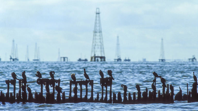 Sell Exxon stock immediately