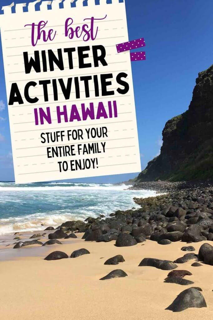Best things to do in Hawaii in winter 2026: Whales, snow & holiday magic