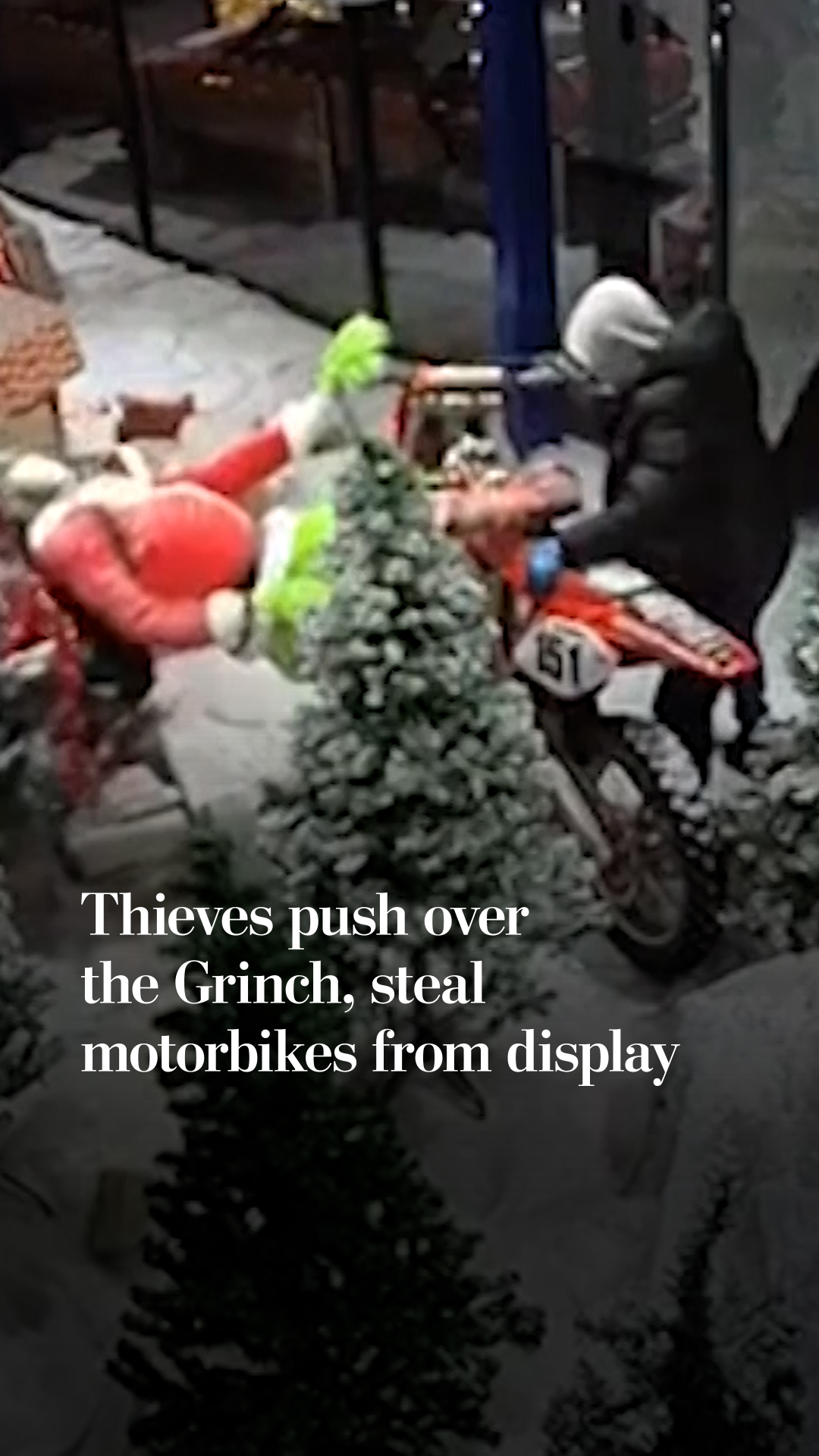 Thieves push over the Grinch, steal motorbikes from display