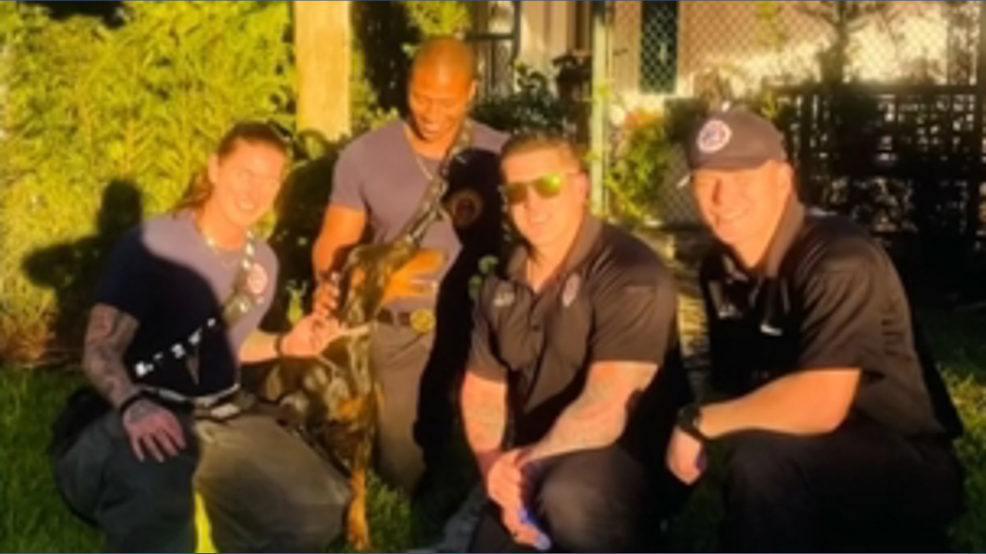 Missing dog rescued after being trapped between house and shed