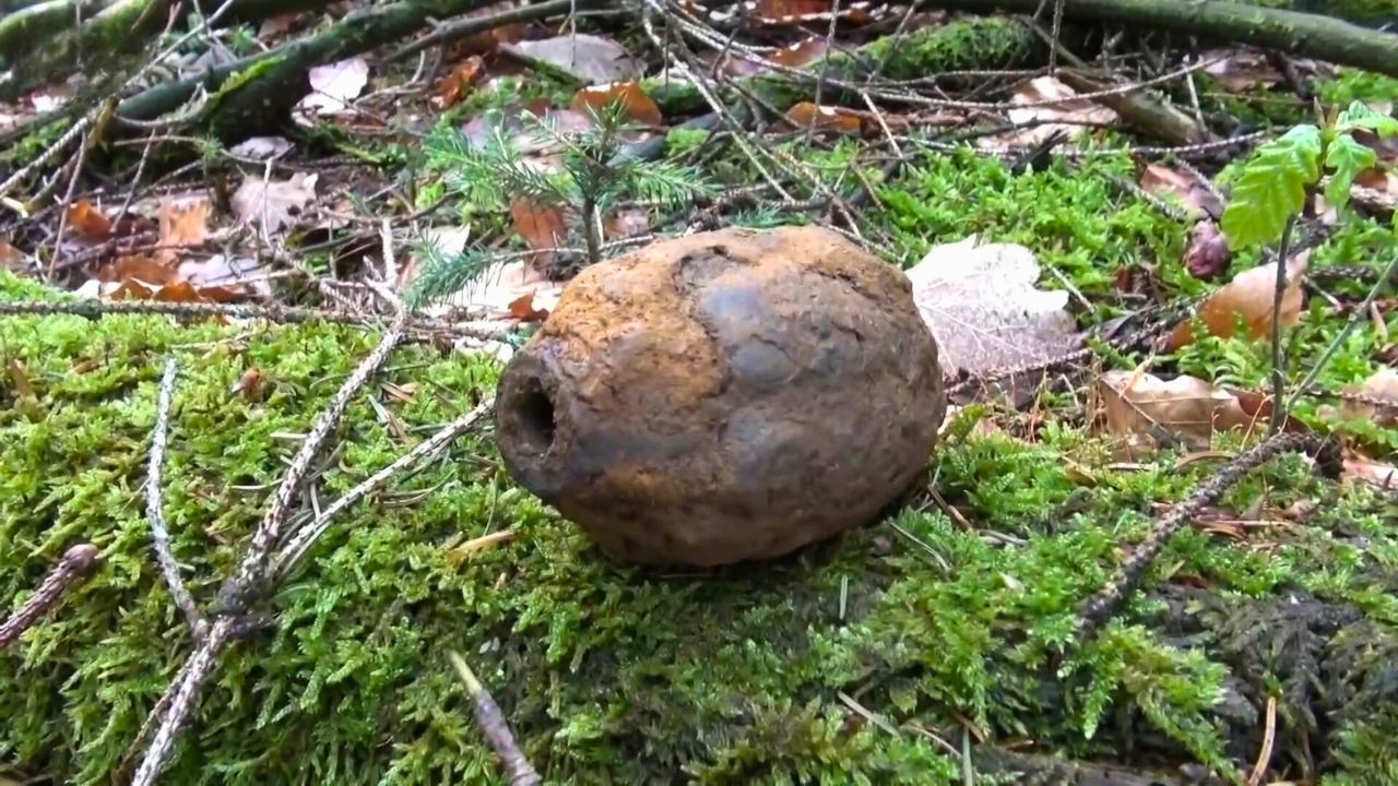 M1 Garand belt gear, American buttons, and a grenade find in one trench ...