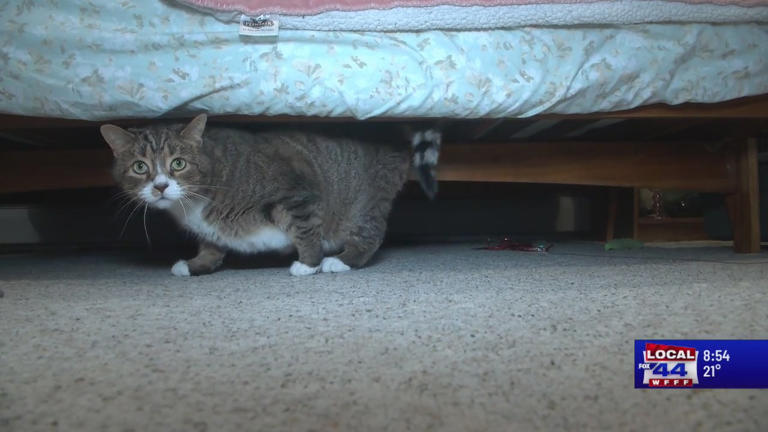 From bashful to bestie: Meet Rocky