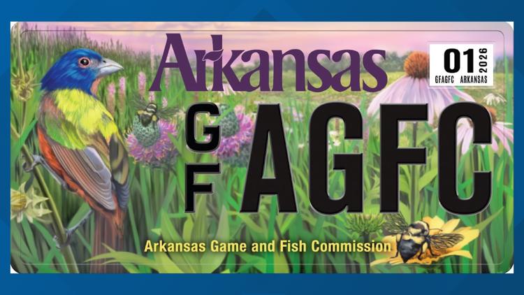 Arkansas Game & Fish Commission reveals new 2026 license plate design