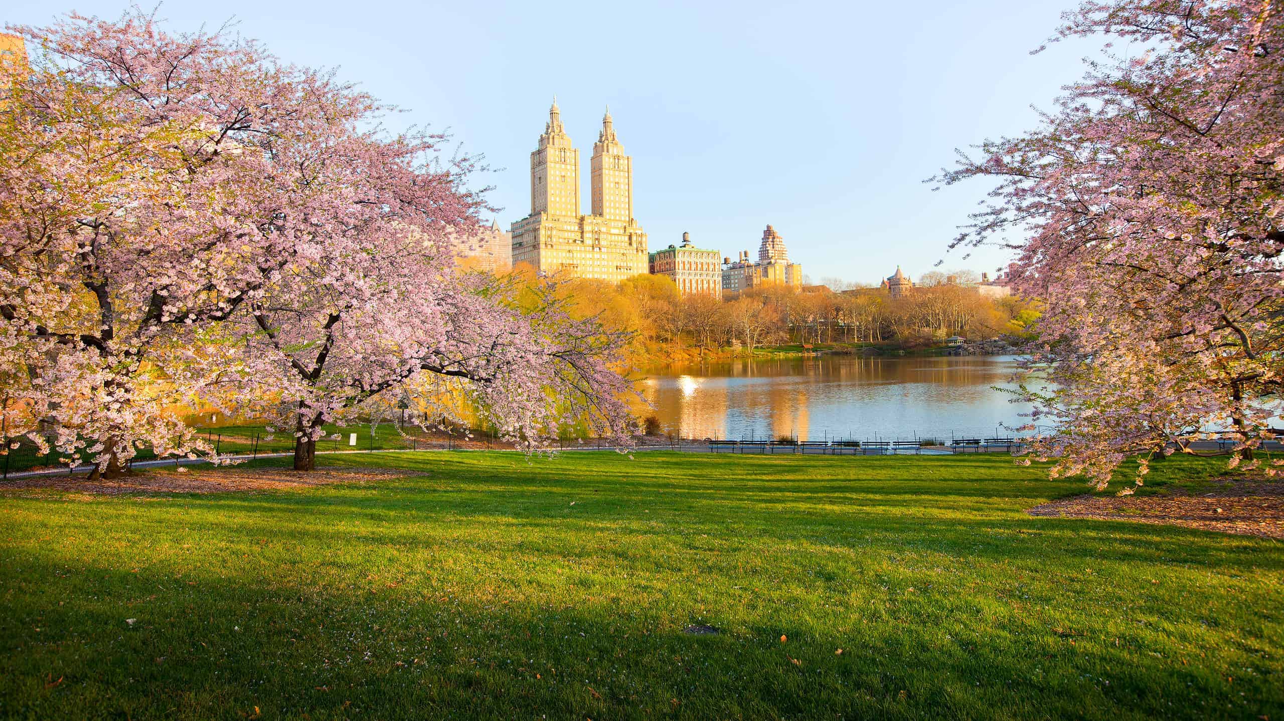 Visiting New York City: A PNW tourist’s guide