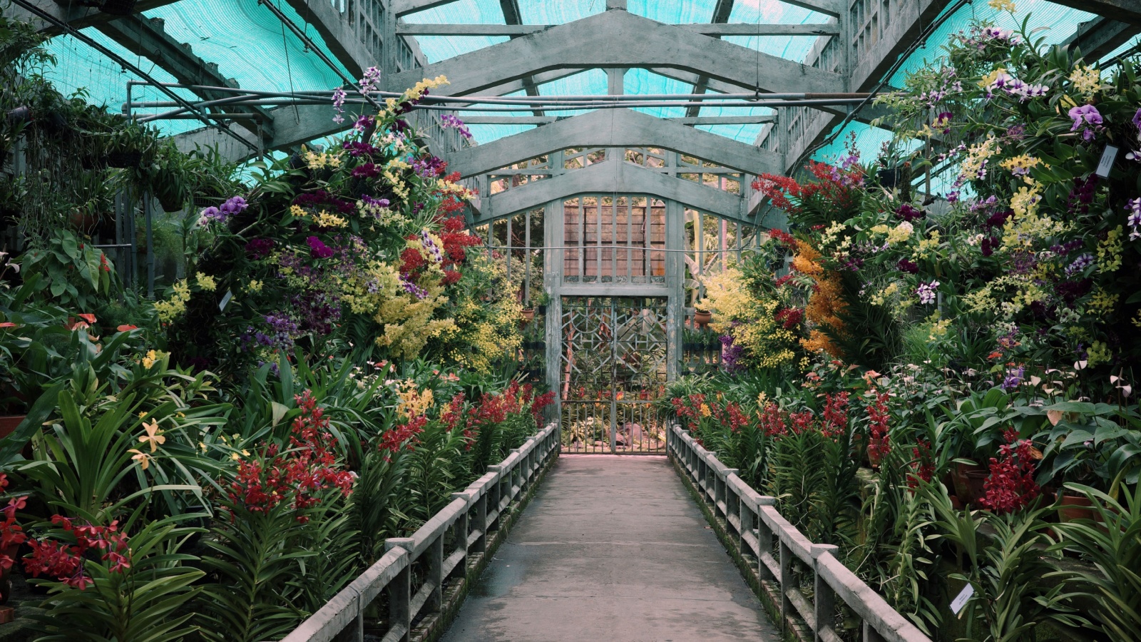 16 garden trends Canadians are trying in 2026 (even in small spaces)