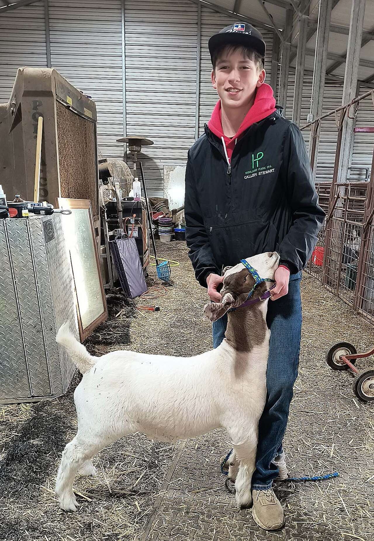 Showing goats brings out 'competitive side' in Stewart