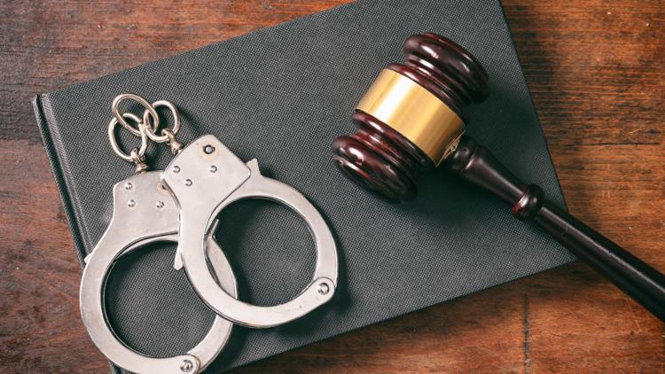 Deadly police-involved shooting of dog justified, says York County DA