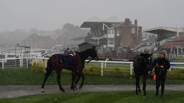Warwick could beat the weather to give racing a welcome weekend boost