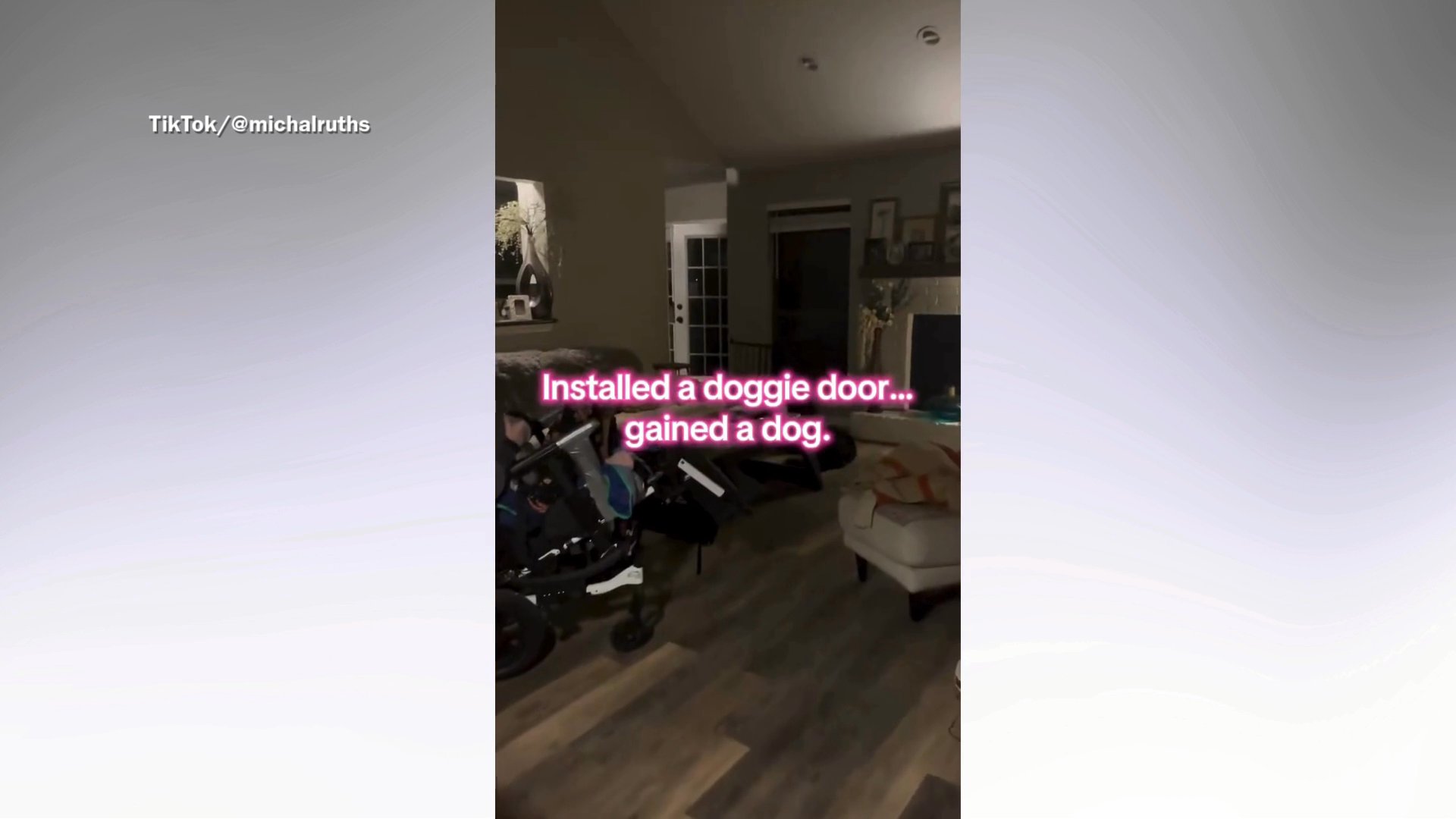 Boxer makes hole in neighbor’s fence, what happens next melts hearts