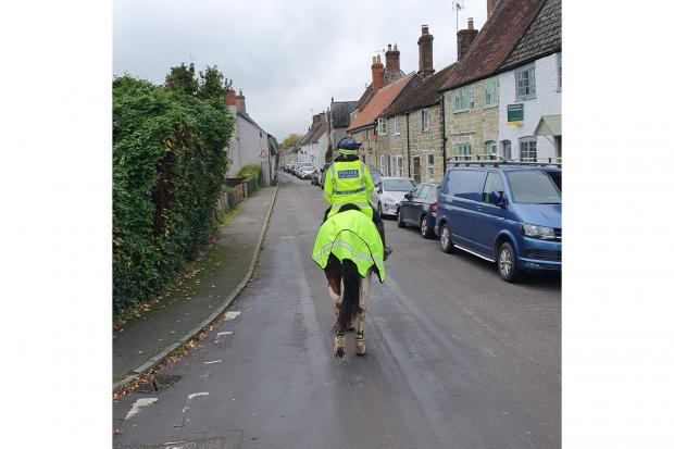 Rural Dorset hit by wave of poaching incidents over festive period