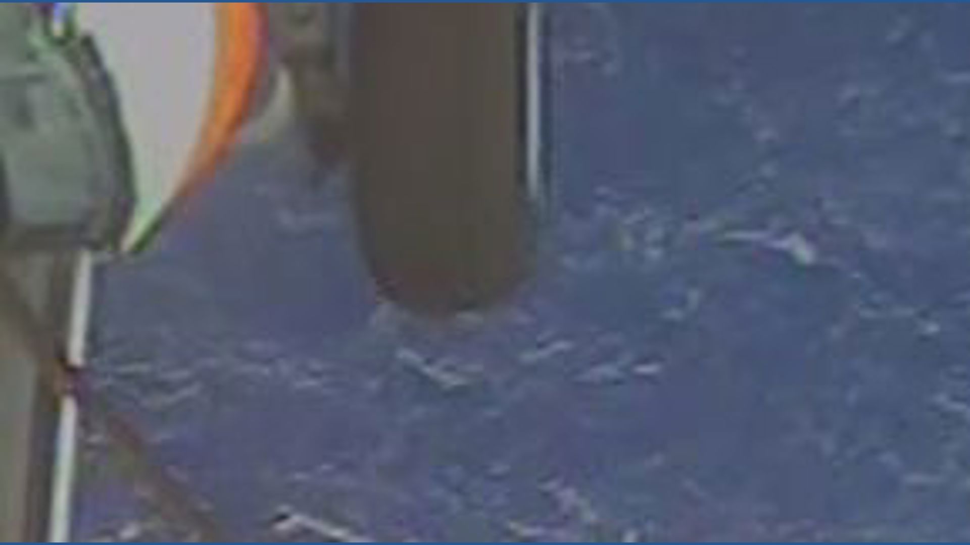 Coast Guard saves 2 people, cat and dog from a disabled boat 65 miles ...