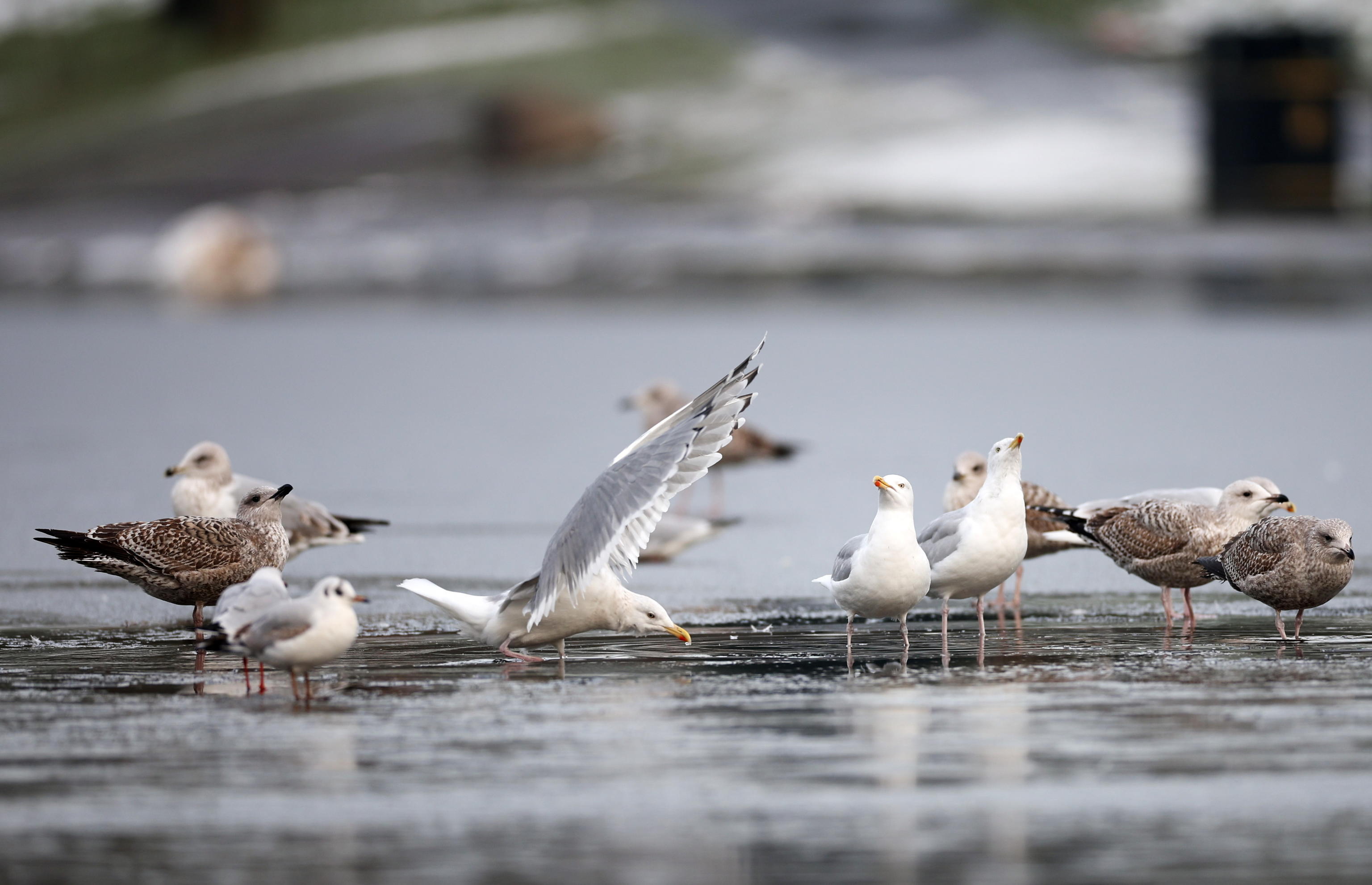 Maltempo: allerta gialla su montagne e colline dell'E-R domani per ...
