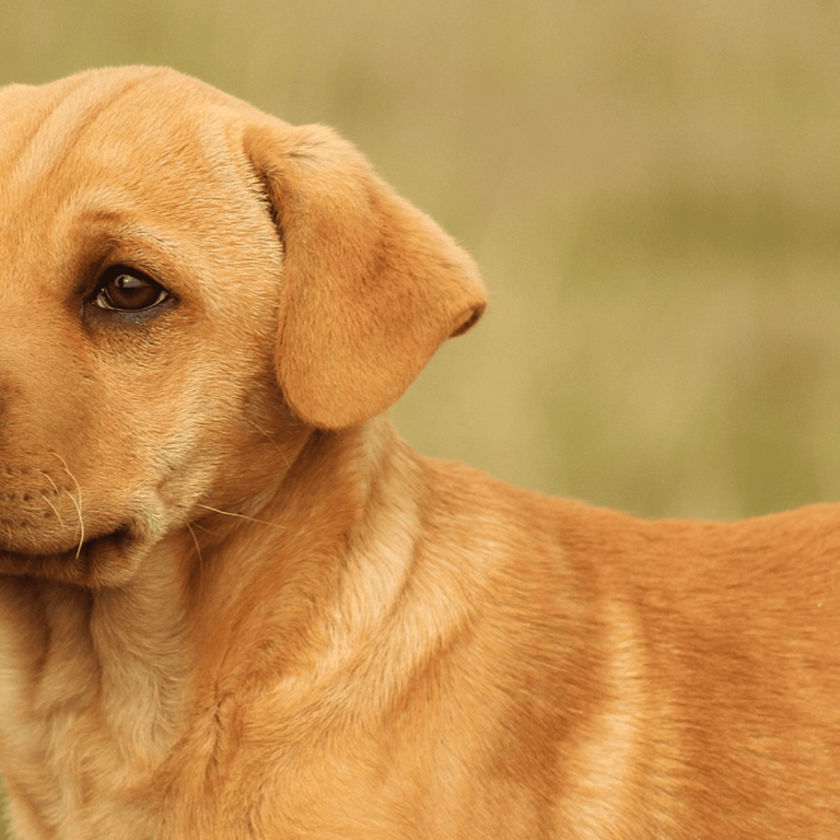 Normal habits for you, but that your dog really hates