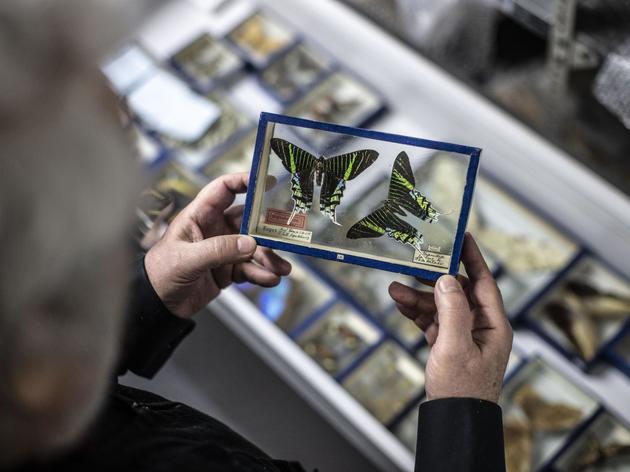 Eine Pionierin und ihr fragiler Schatz