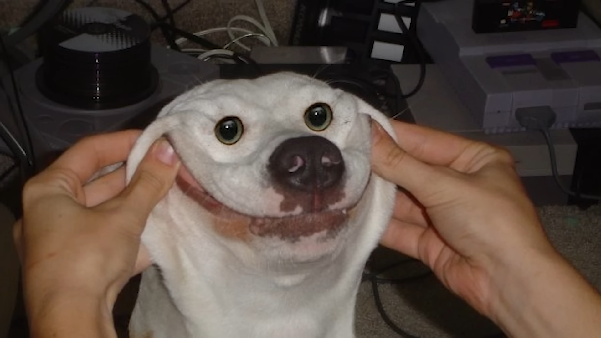 Russia's Area 51 - And It's Bizarre Residents