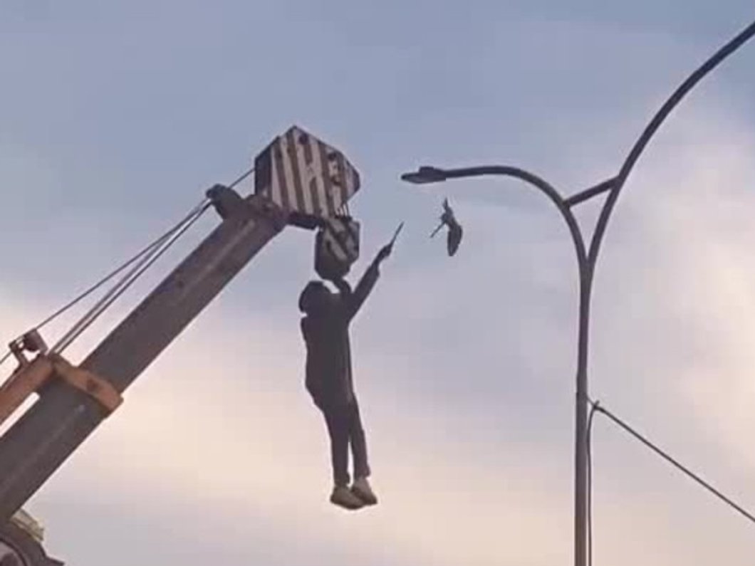 Dangerous rescue operation: Man risks his life for a small bird